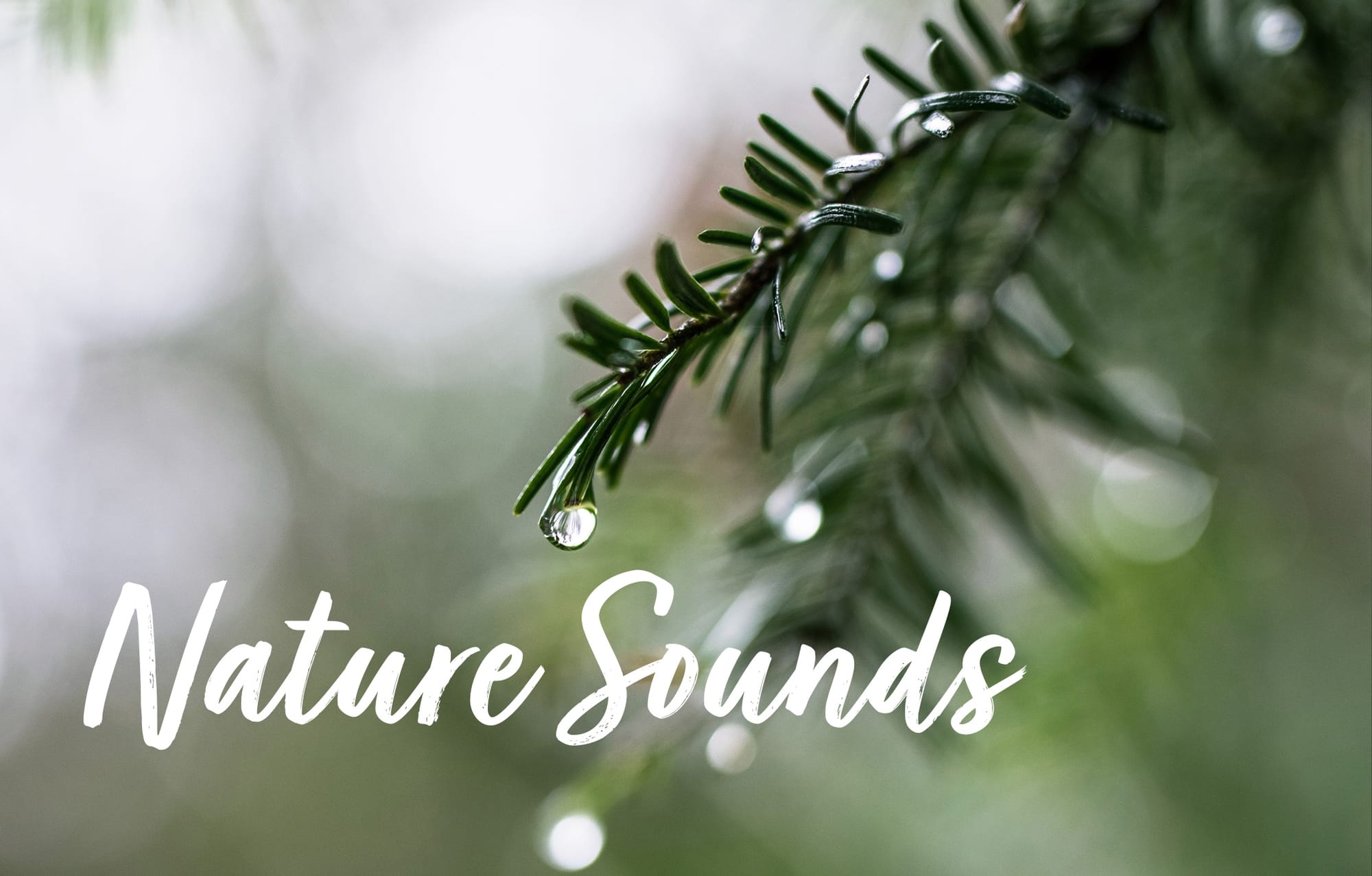 Breethe: The meditation app that cares about you