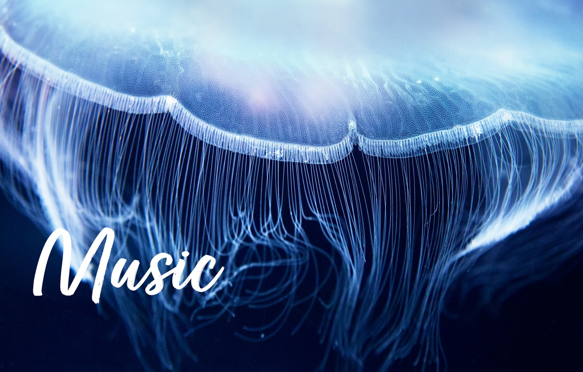 Breethe: The meditation app that cares about you