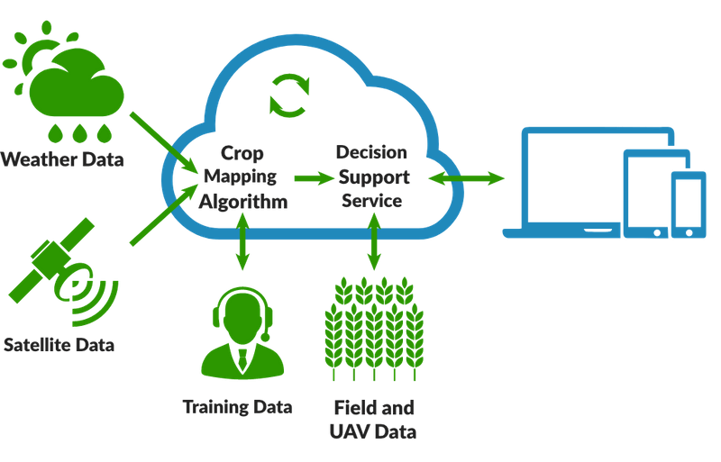 Annual Cropped Area Maps