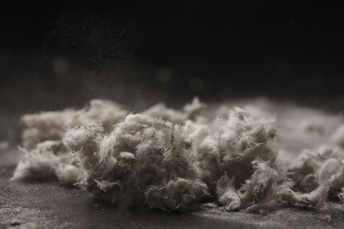 Asbestos Removal | TMS-REDEC