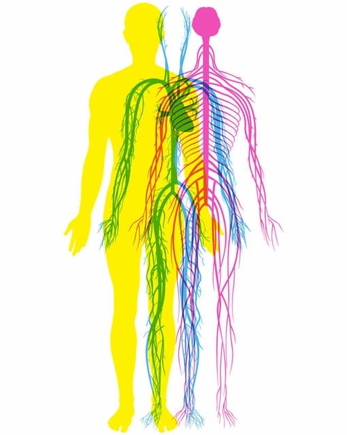 Proprio – Technology