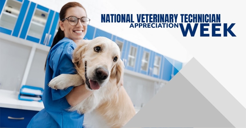 National Veterinary Technician Appreciation Week Is Here!