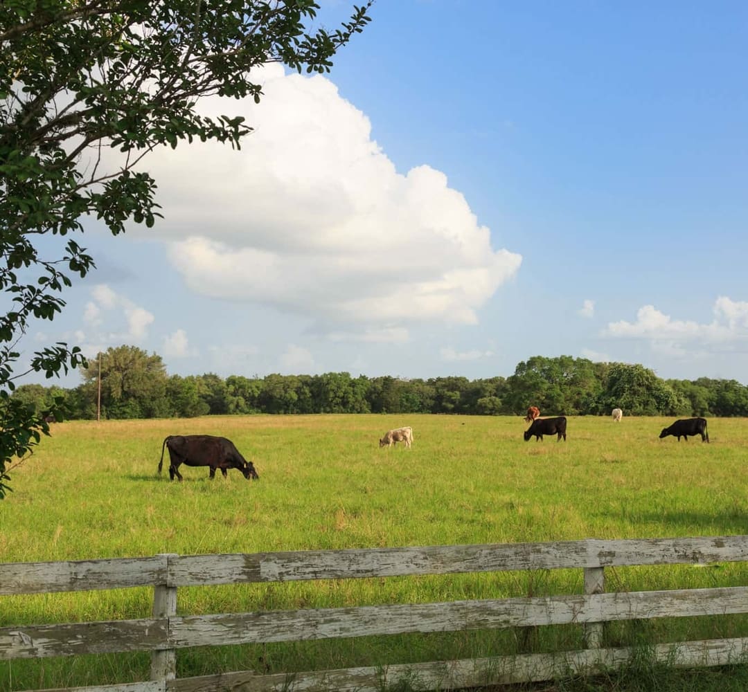 Rustic Texas Weddings | Beautiful Ranch Wedding Venue Near Houston