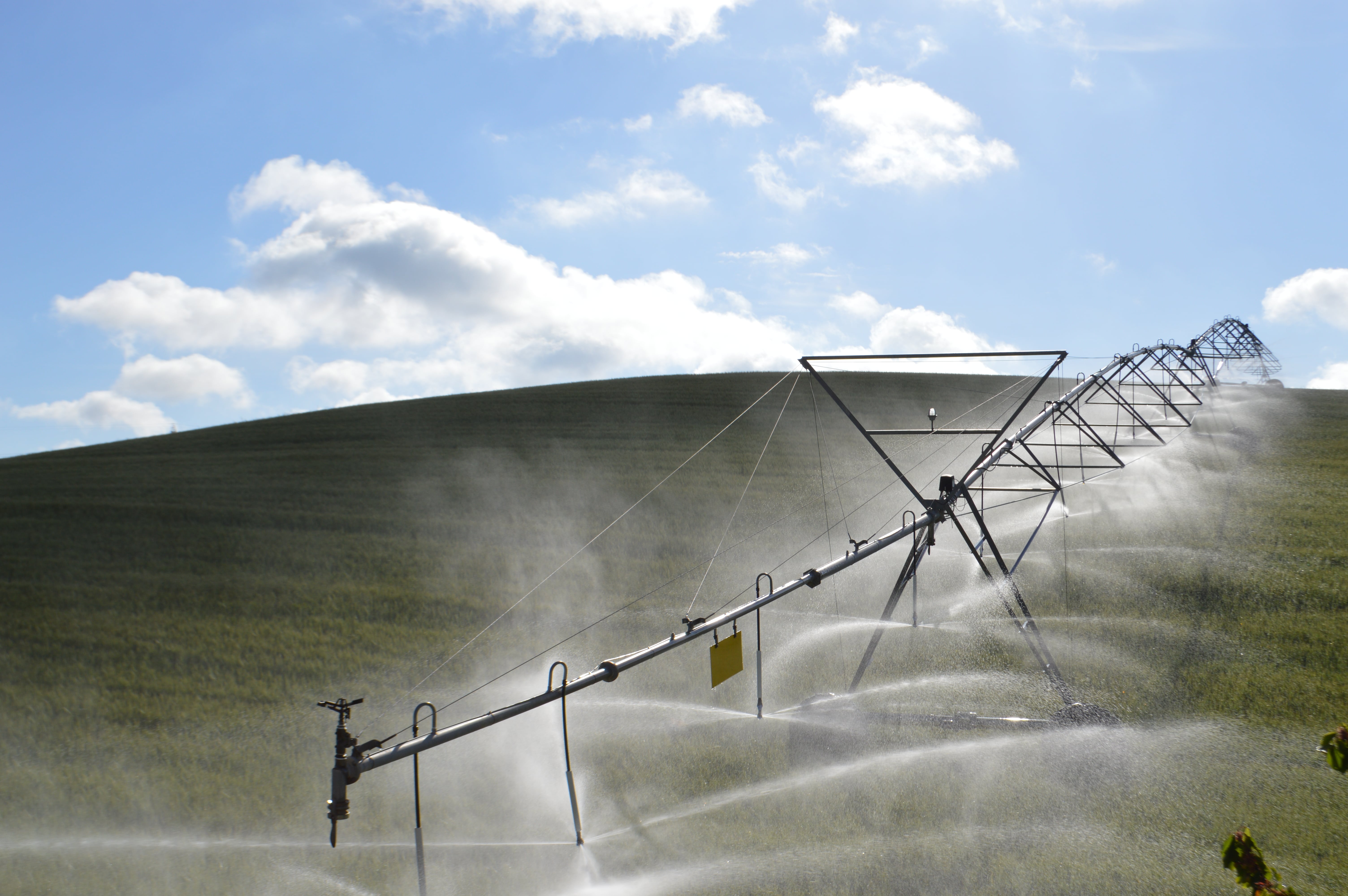Sistemas de Riego y Manejo de Efluentes