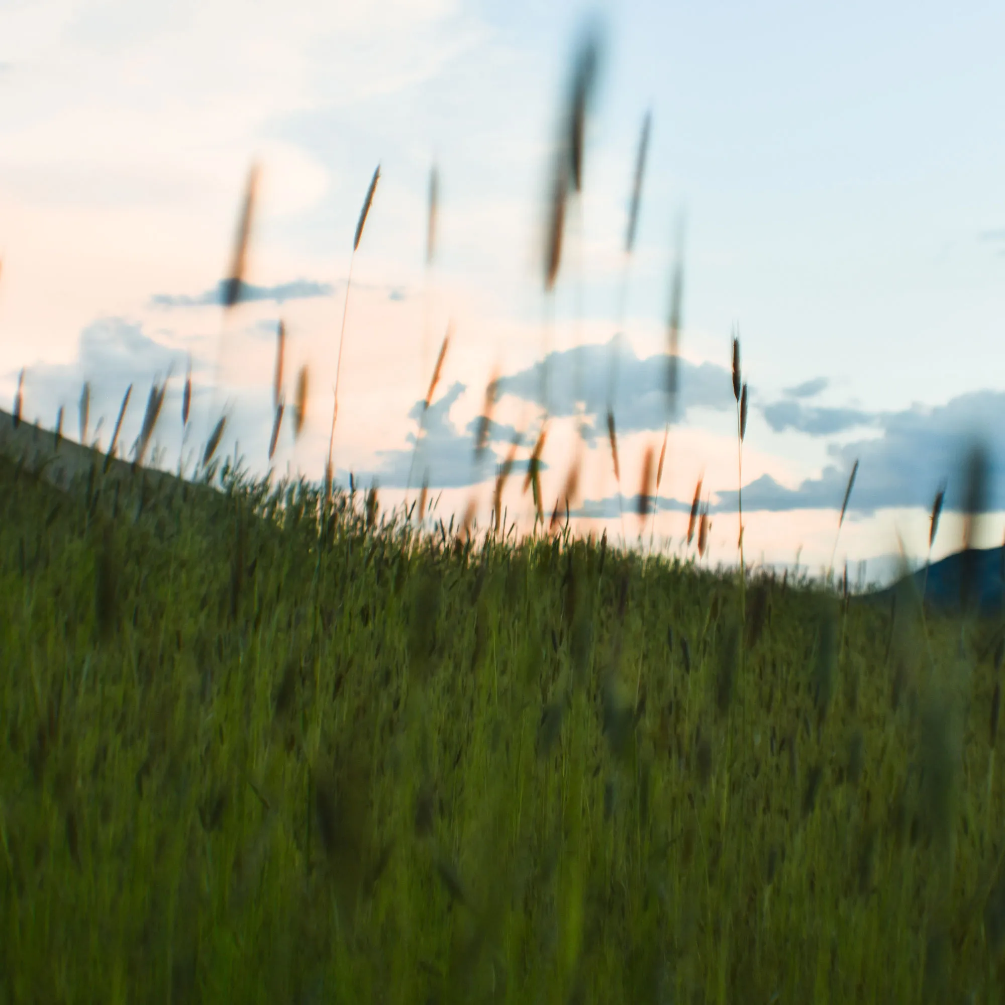 Cemetery Development and Environmental Solutions | The CDS Group