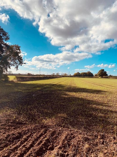 Cemetery Development and Environmental Solutions | The CDS Group
