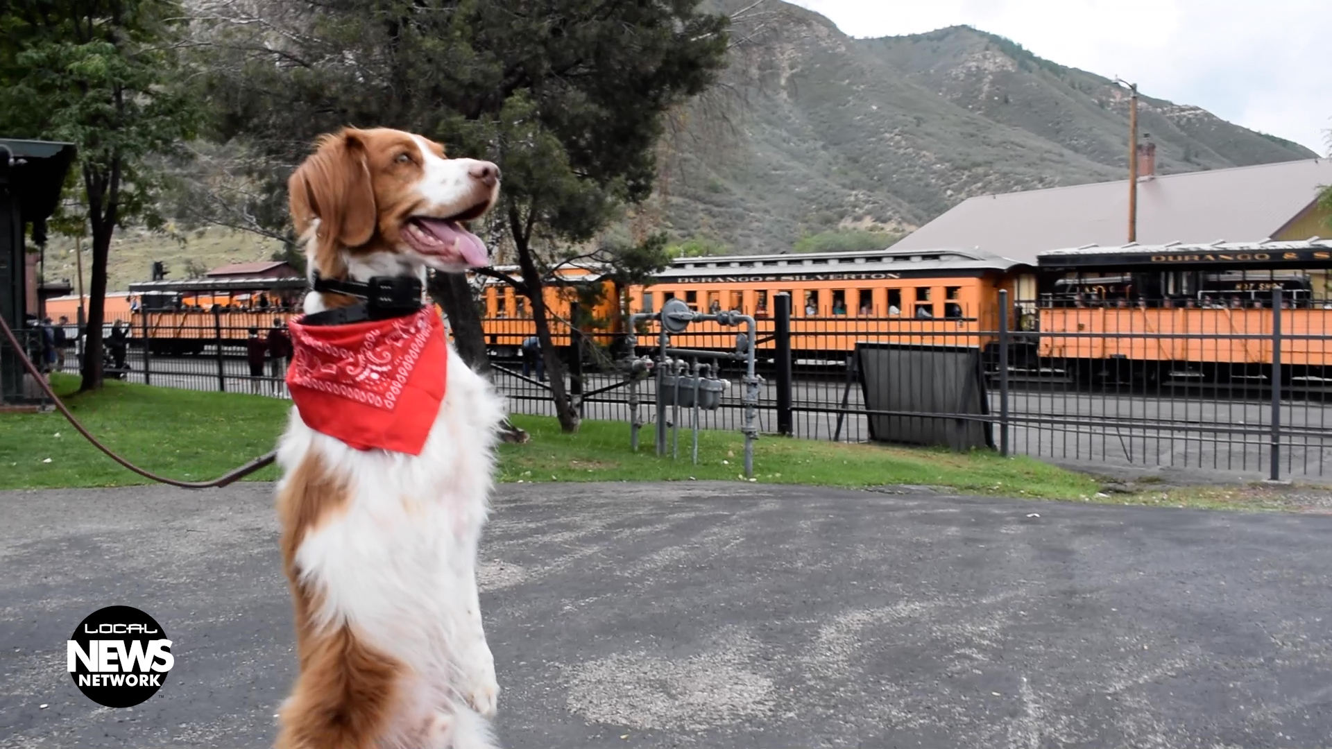 Overcoming Adversity with Three Legs