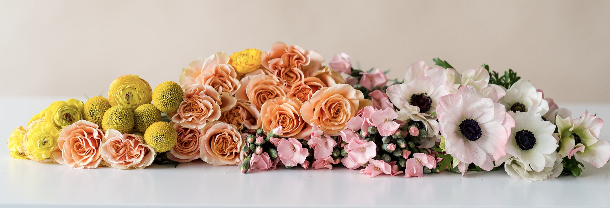 The Ella Kit | The Dirt