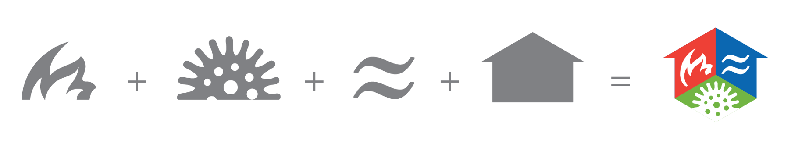 Florida Mold Busters | Laura Lopez | Freelance Graphic Designer