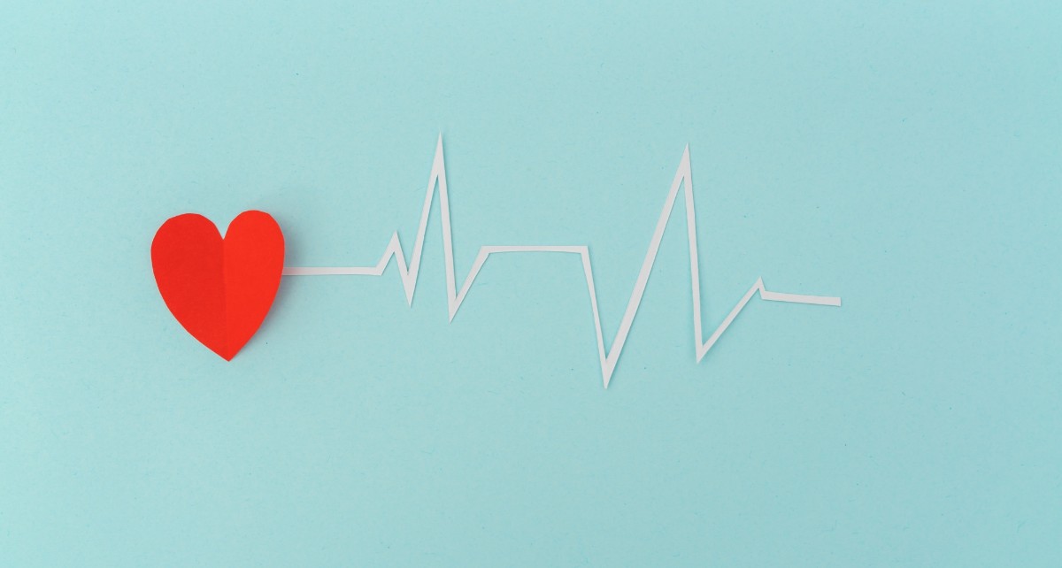 What Your Heart Rate Can Tell Us and You about Your Health