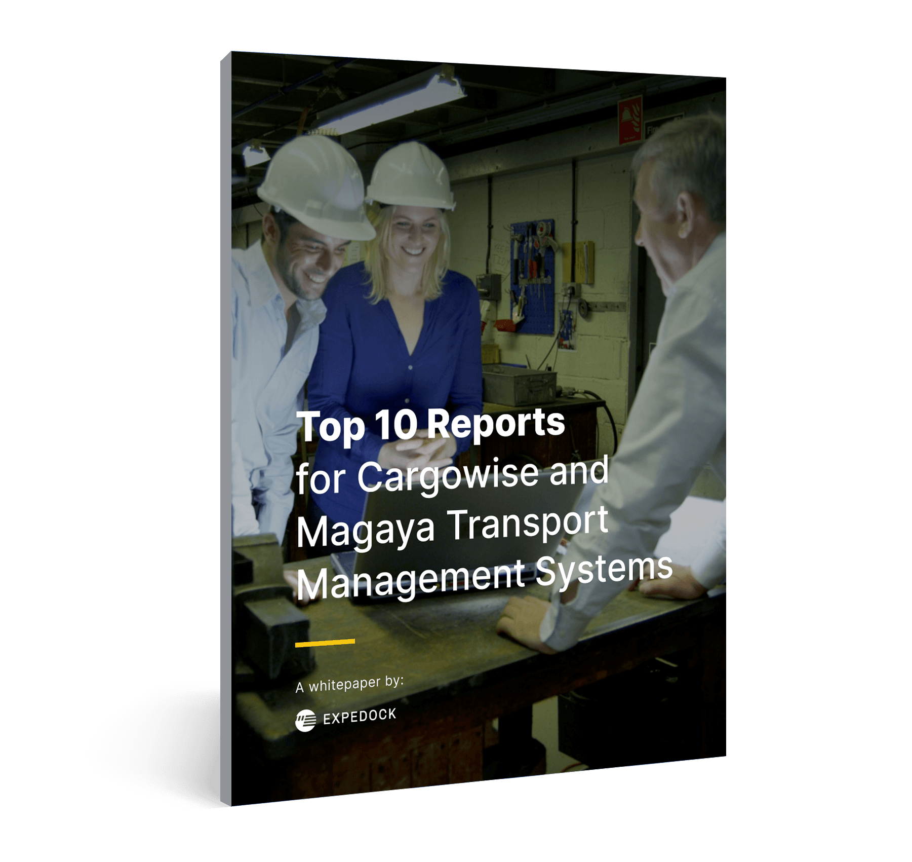 Top 10 Reports for Cargowise and Magaya Transport