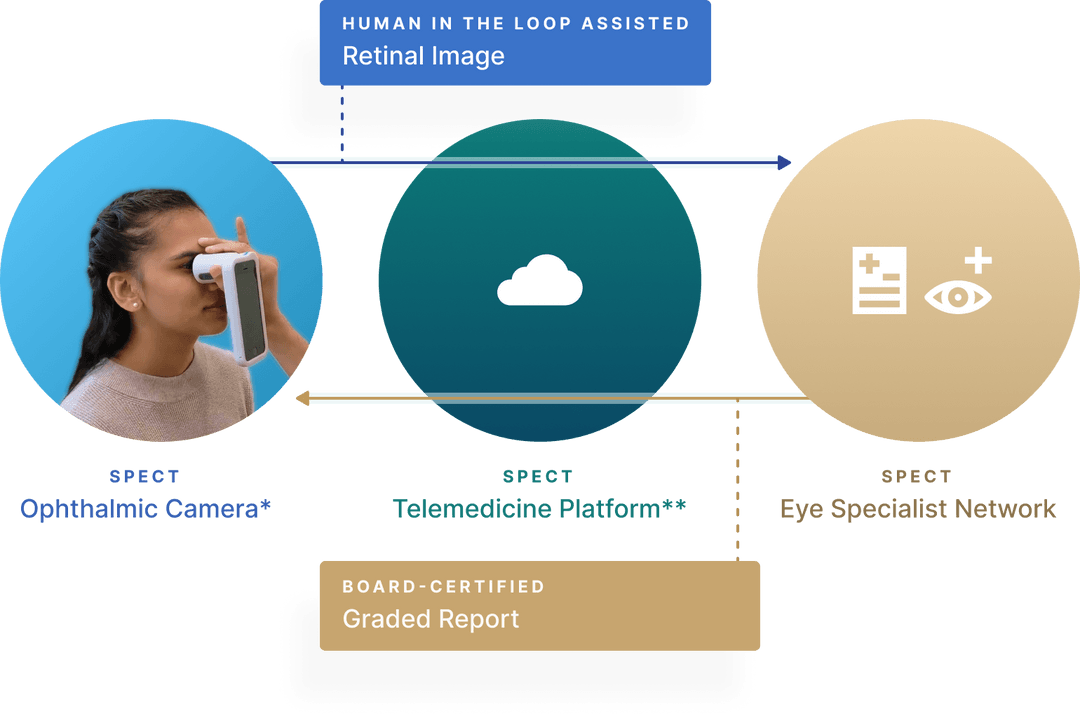 Spect: Welcome to Modern Eye Care