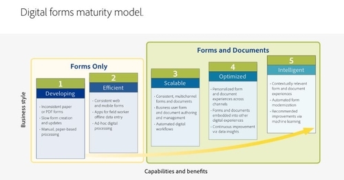 Forms Maturity Assessment • Services • AFTIA