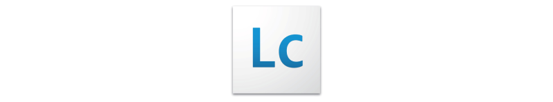 Adobe Livecycle Designer