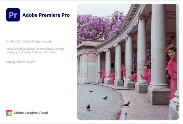 Getting started with Editing in Adobe Premiere Pro | Yarrow Co. Ltd.