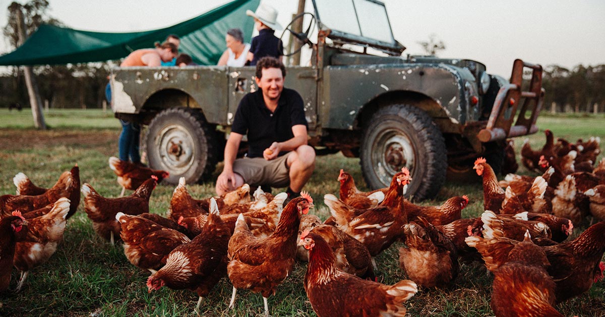 Hattam Farm - Farm fresh from Stroud Valley