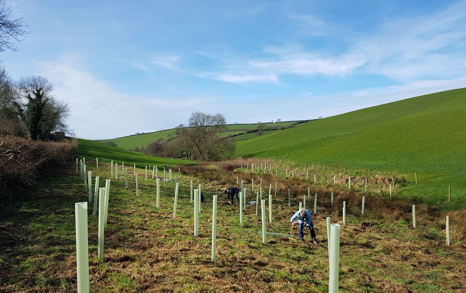 Pledge for nature off to a flying start - North Devon Biosphere