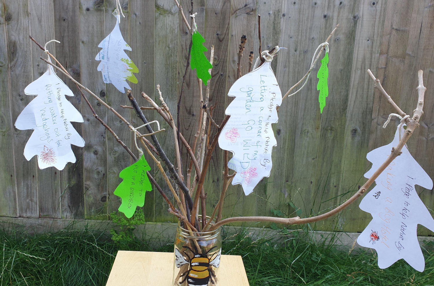 Knowledge Base: School Activity - North Devon Biosphere