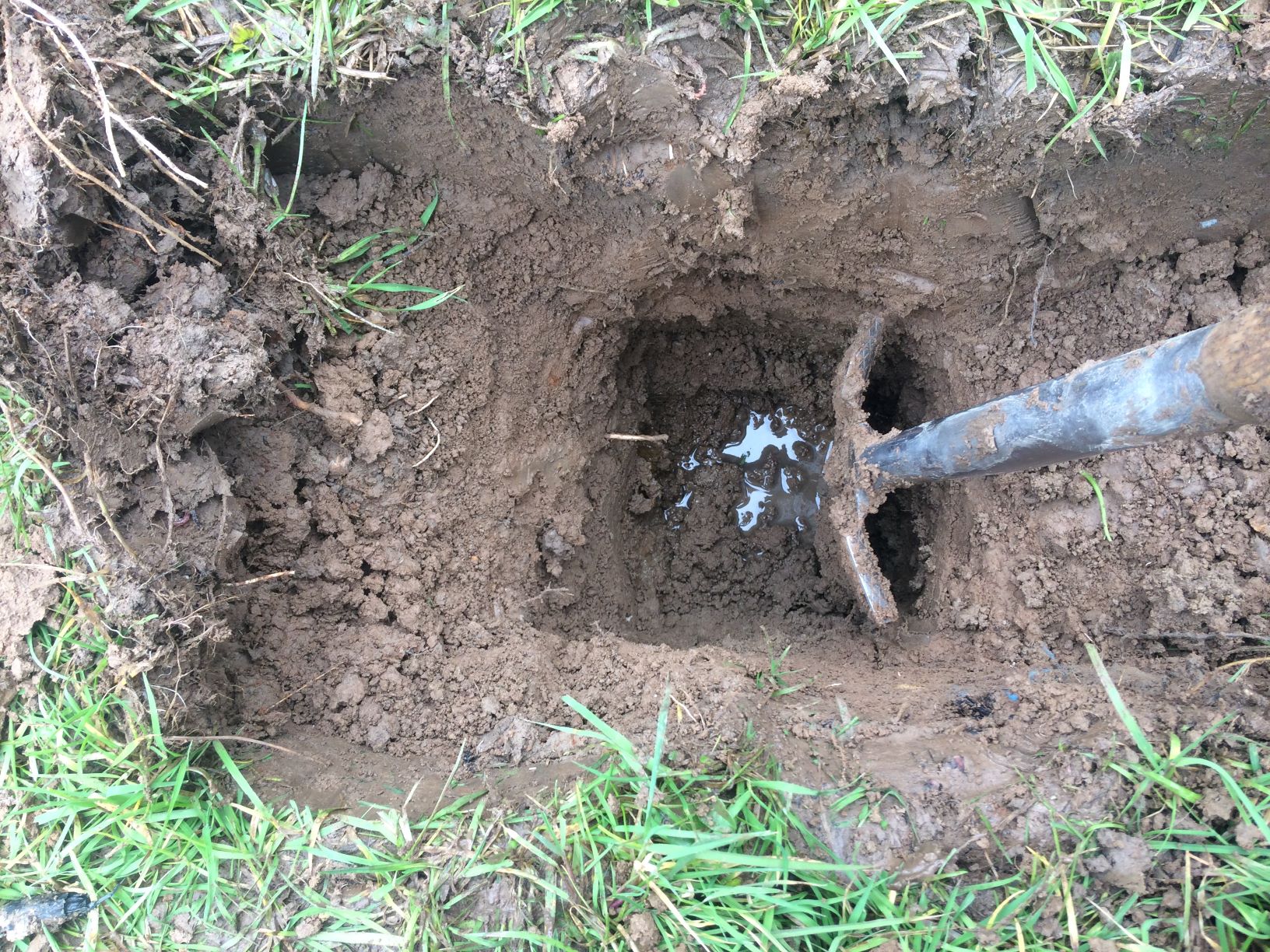 Knowledge Base: Save Your Soil - North Devon Biosphere