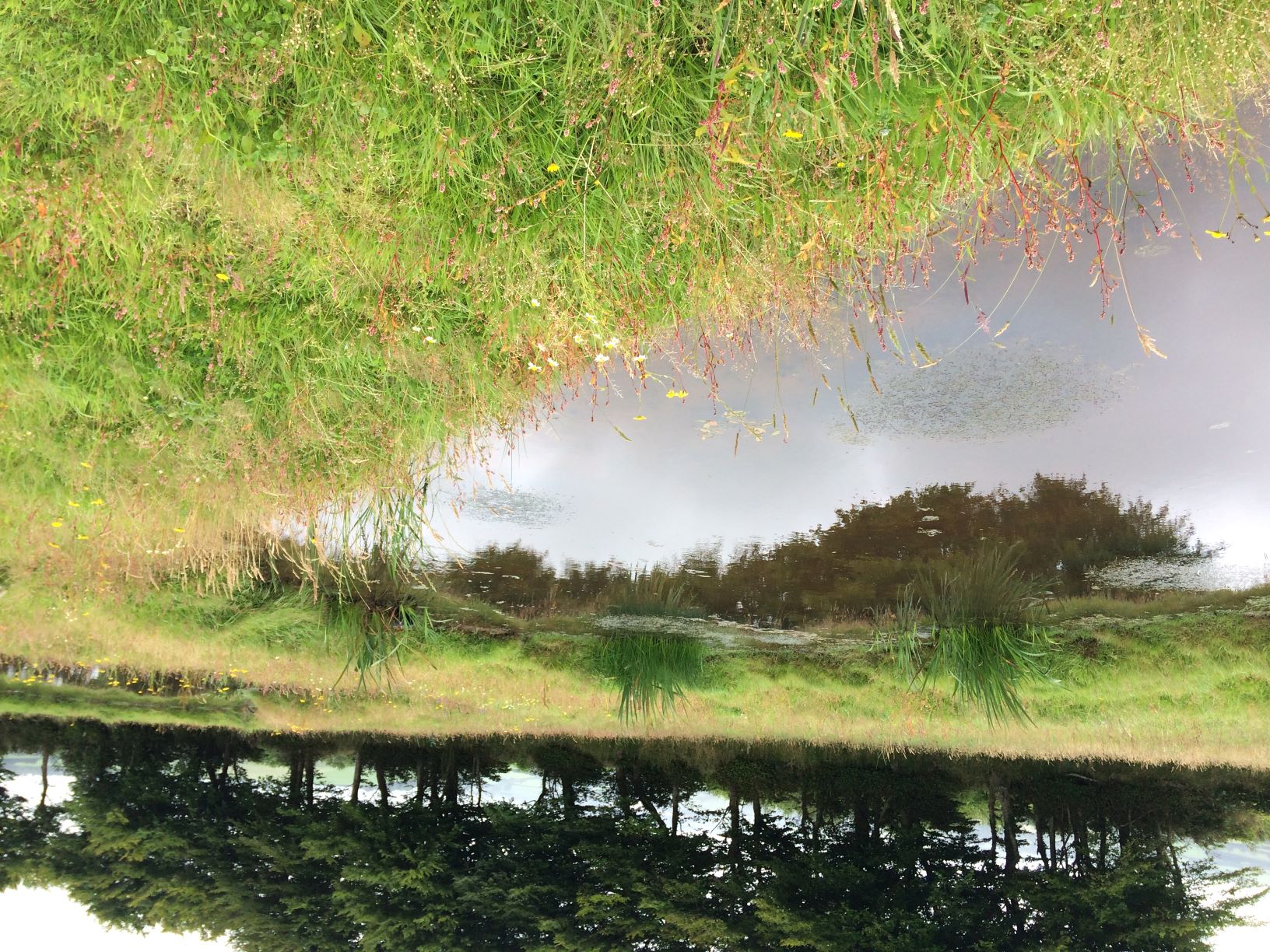 Knowledge Base: Save Your Soil - North Devon Biosphere