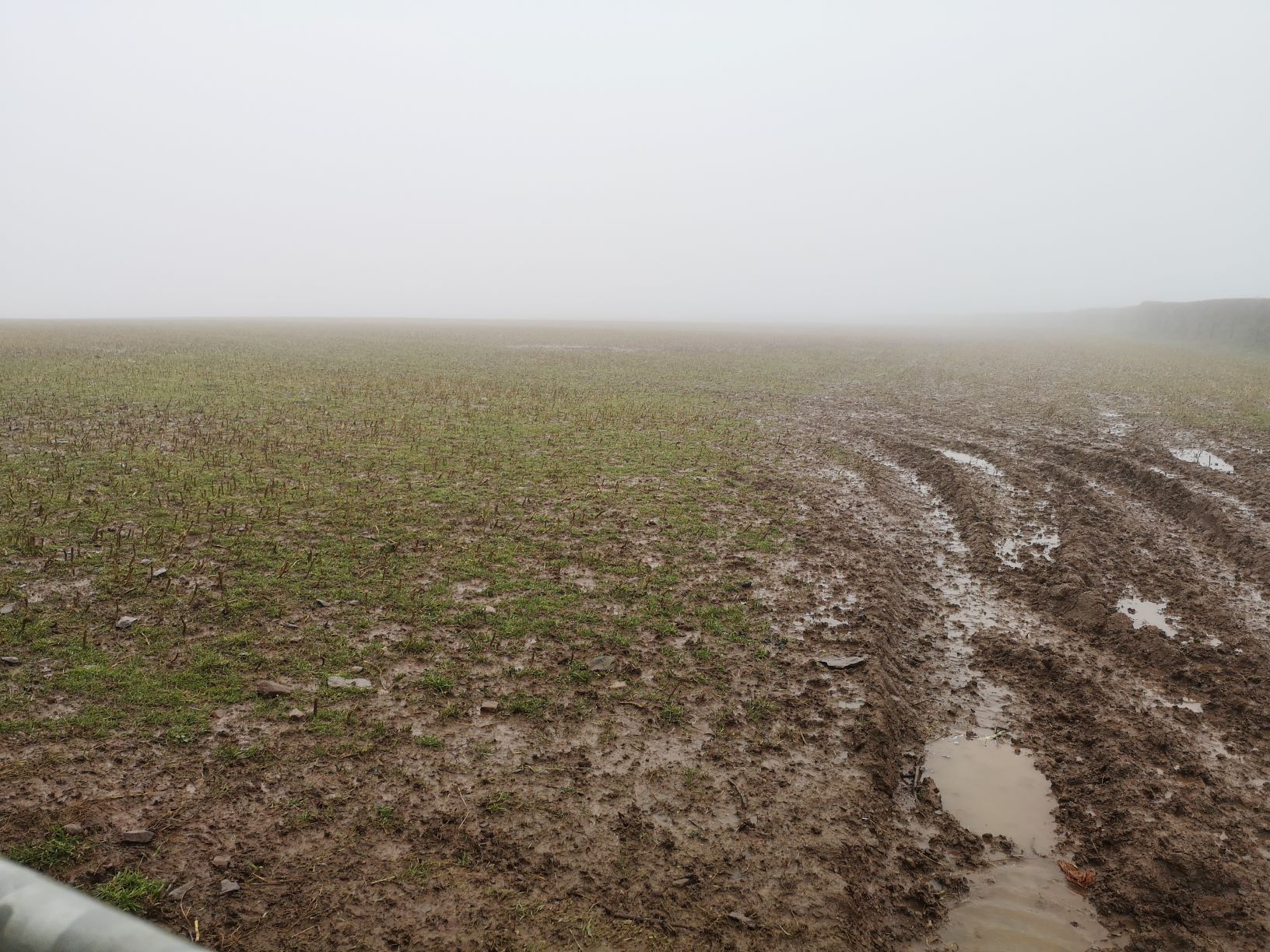 Knowledge Base: Save Your Soil - North Devon Biosphere