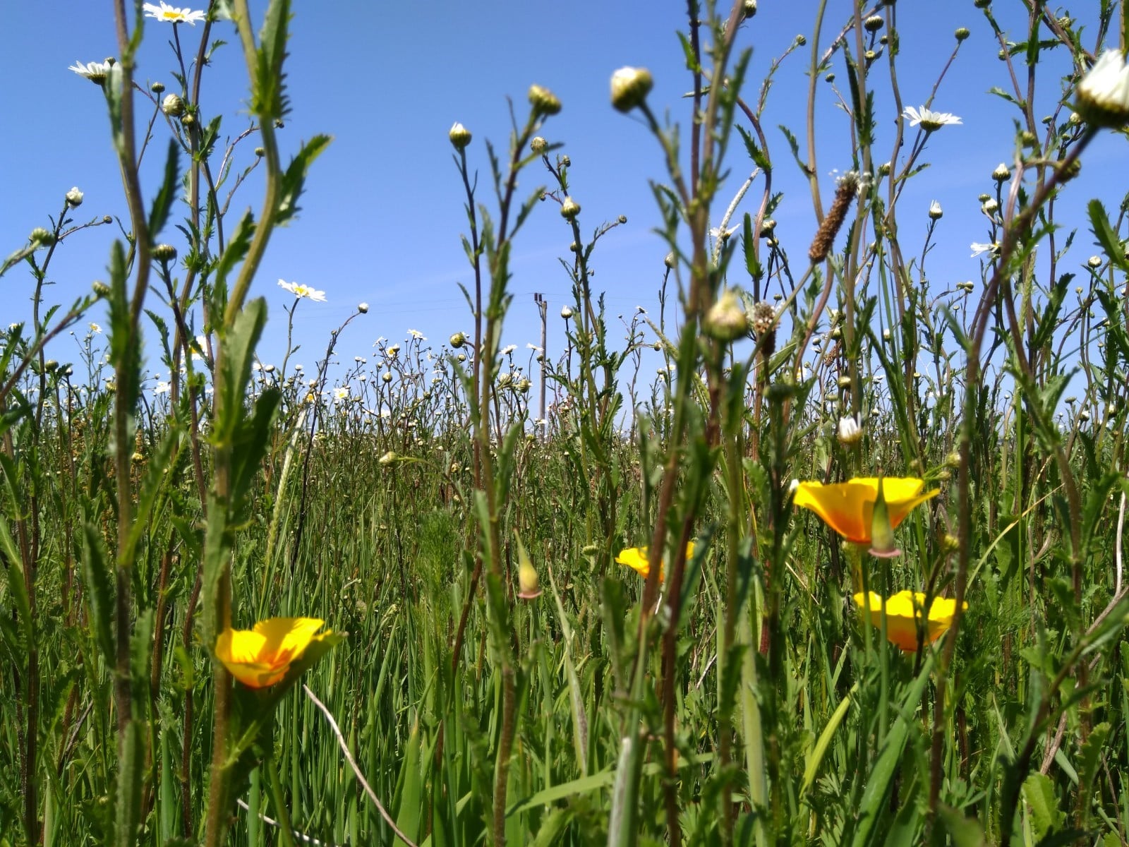 2021 Events - North Devon Biosphere