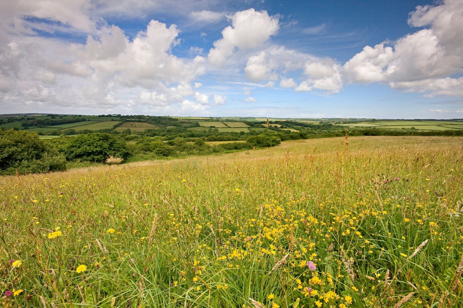 Knowledge Base: Sign Nature Recovery Declaration - North Devon Biosphere