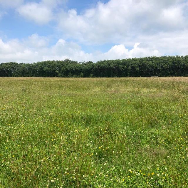 North Devon Biosphere