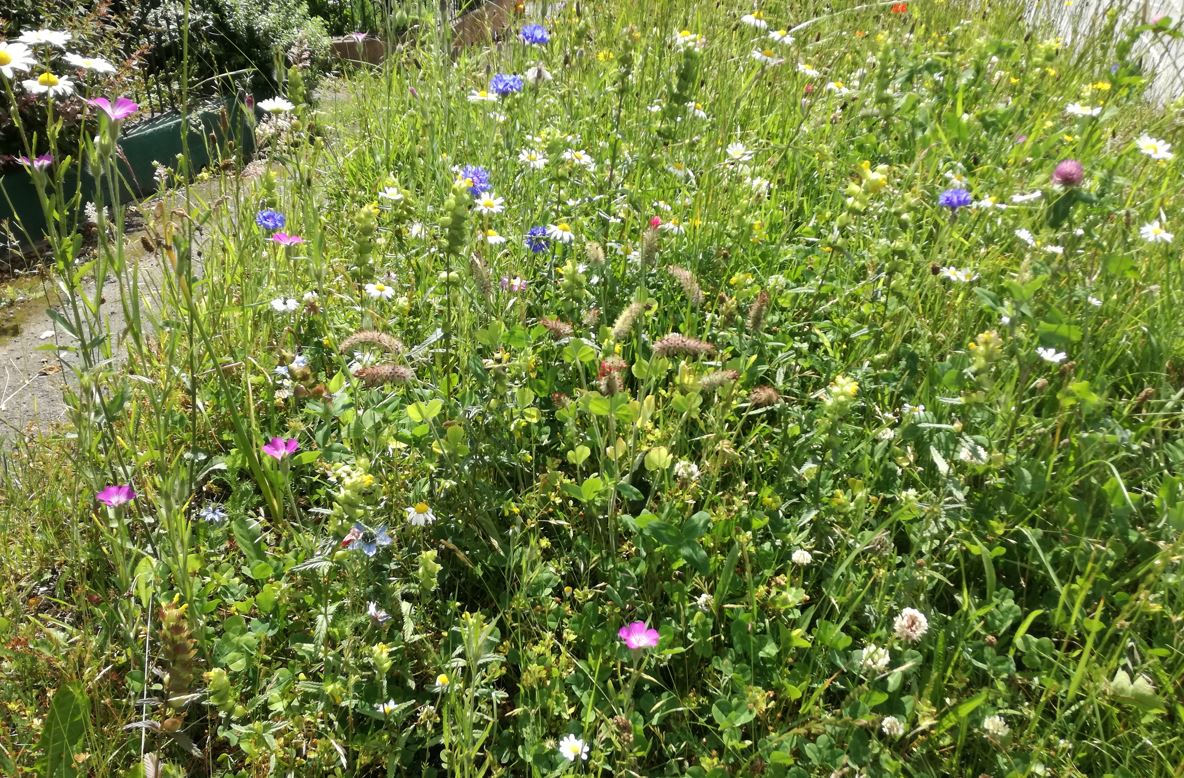 2021 Nature Award Winners: Community Champion - North Devon Biosphere