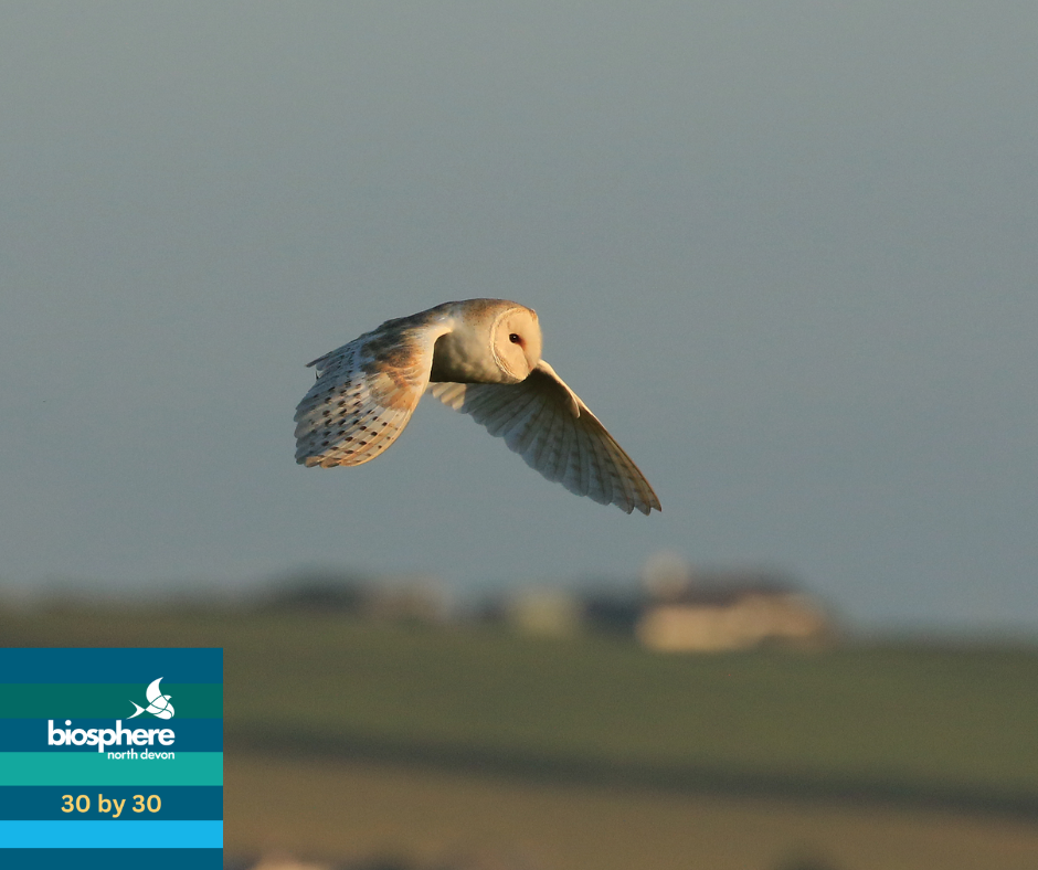 January 2023 - North Devon Biosphere