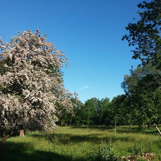 2022 Nature Awards Business - North Devon Biosphere