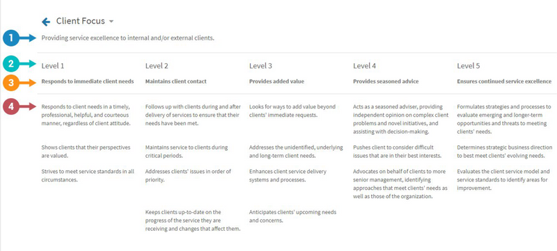 Competency Framework - Guide to Choosing a Framework | HRSG