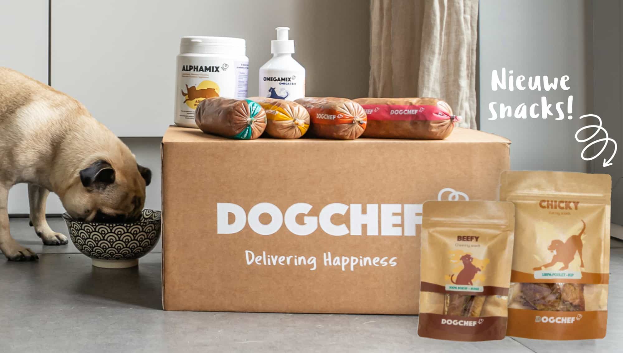 Wat gebeurde er bij Dog Chef in 2021? - Dog Chef