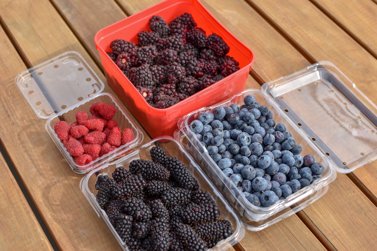 Ruakura Berry Shop | Newstead, Hamilton