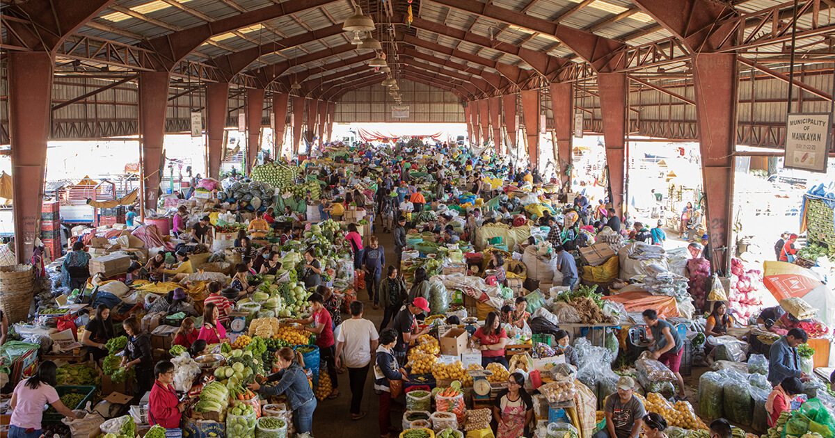 Where the Green Grass Grows