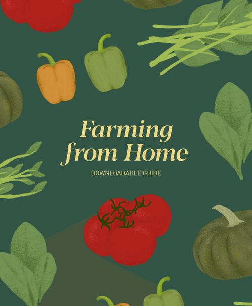 How to Farm at Home