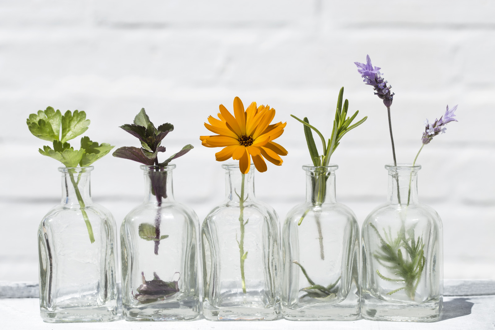 Aromatherapie Ausbildung und Kurse