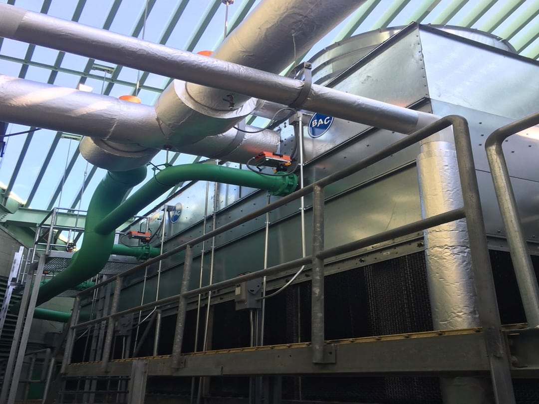 DW Hammer Construction