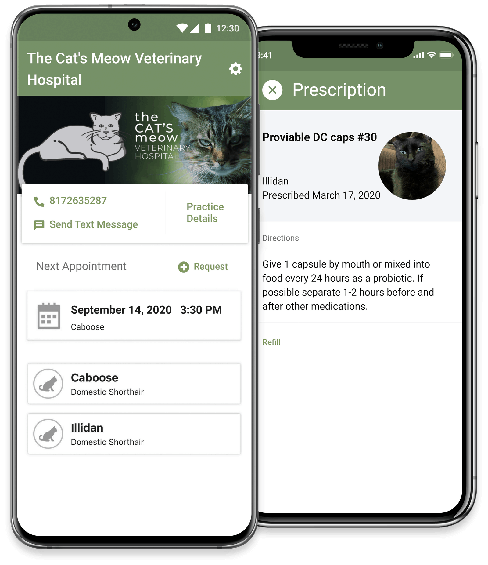 Behind the Exam: FeLV FIV HW Snap Tests | The Cat's Meow Veterinary ...