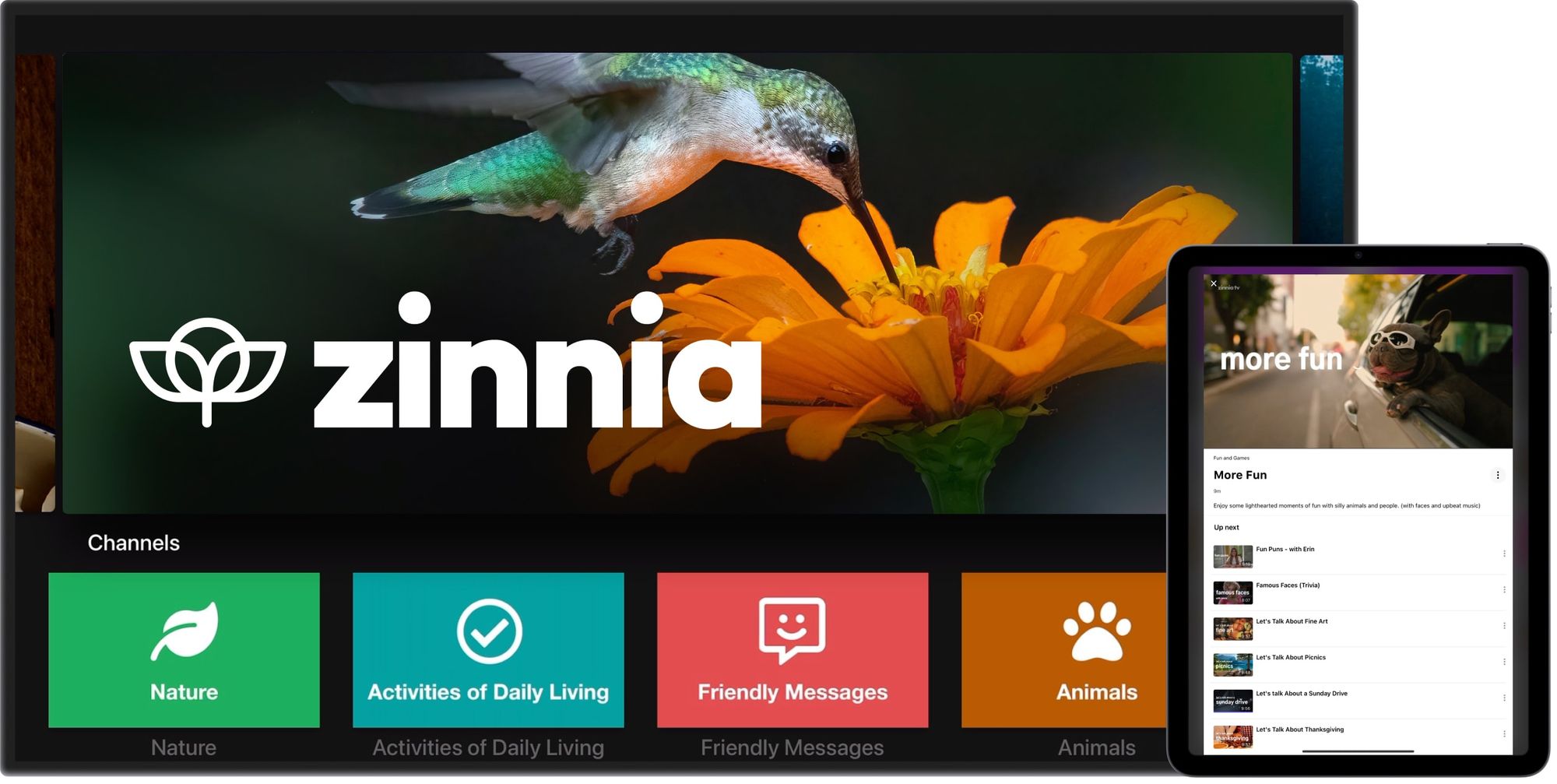 Zinnia