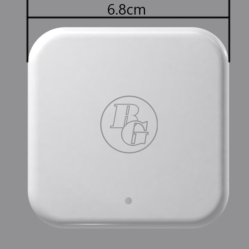 BG2000 Smart Lock IP66