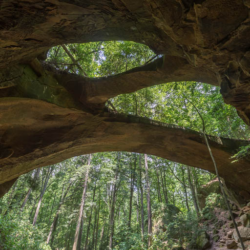 Natural Bridge, Alabama • Dan Sorensen