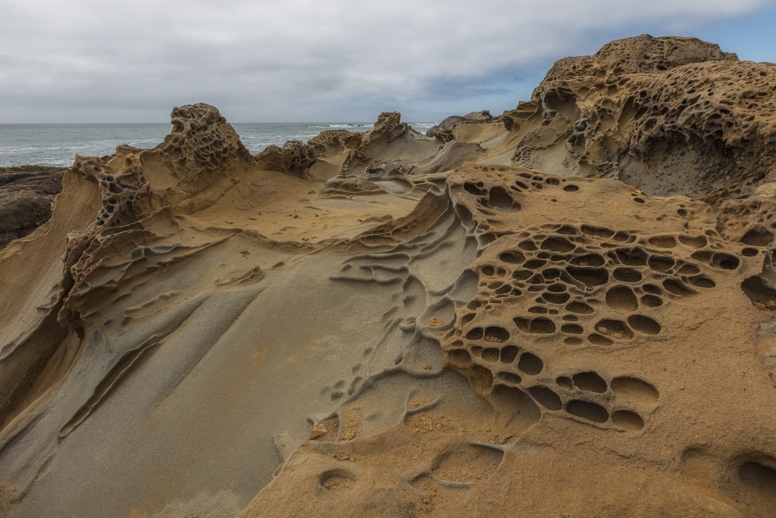 Tafoni formations at Bean Hollow Beach • Dan Sorensen