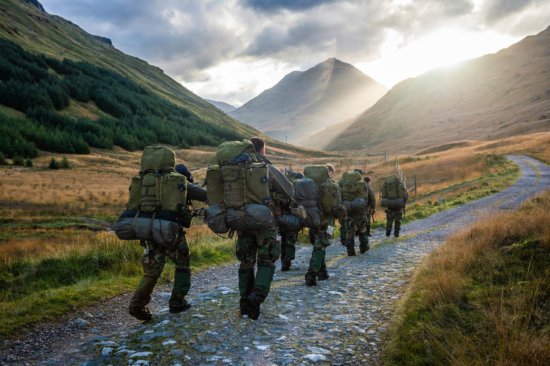 The Next Level - Management Consulting Services