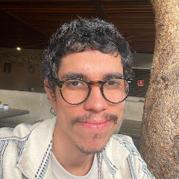 Luis Fernando Lima - Webflow