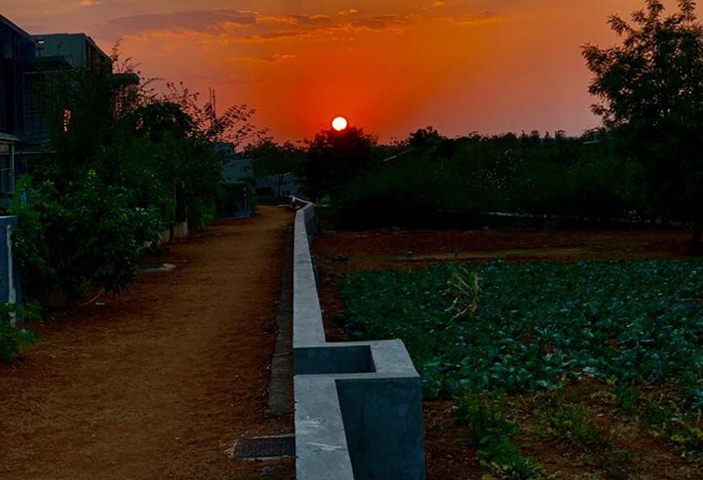 Blogs by Organo on Sustainable Farming and Rurban Life