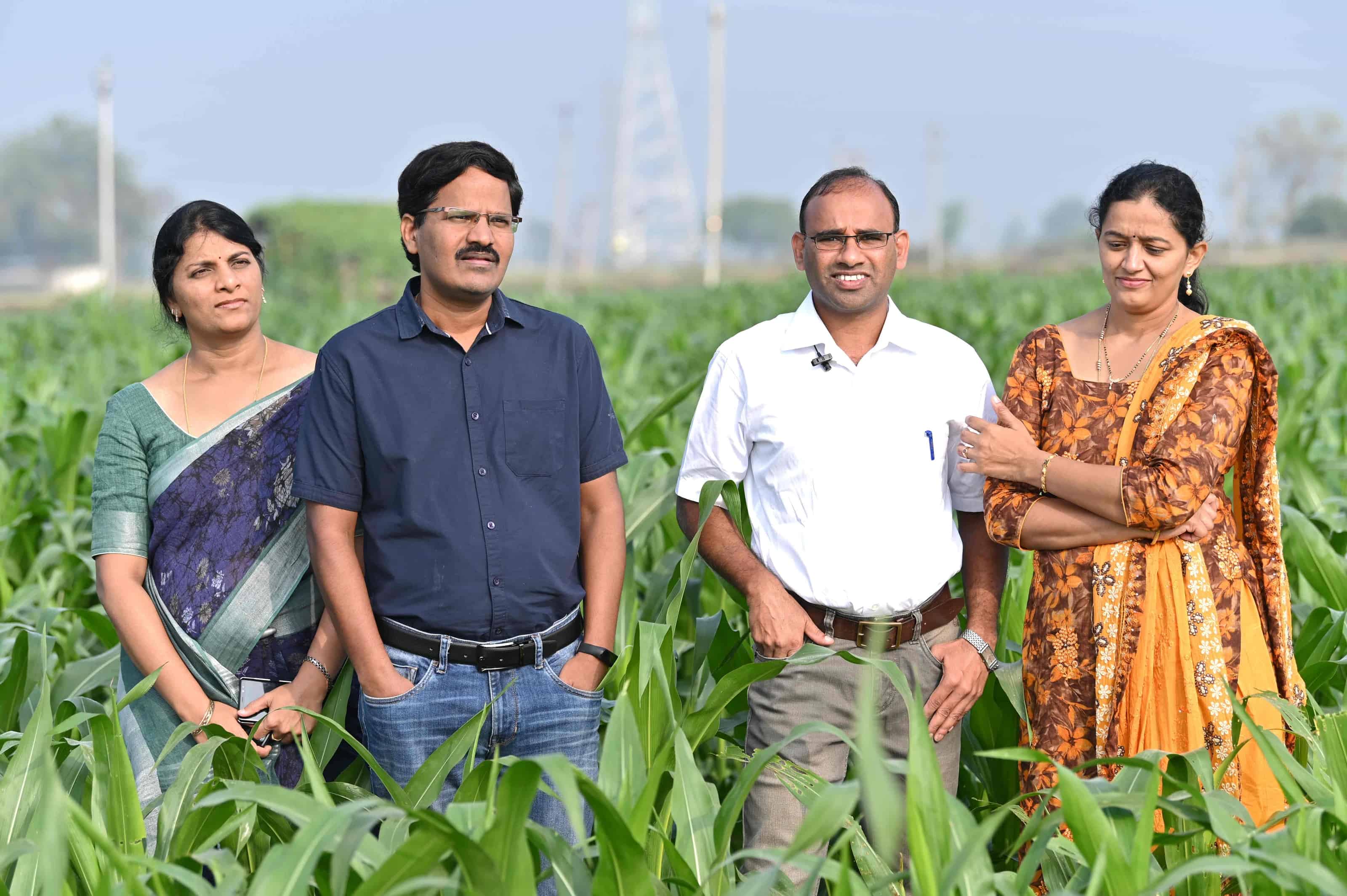 The effort and intention behind the Rurban Nest project. - Organo