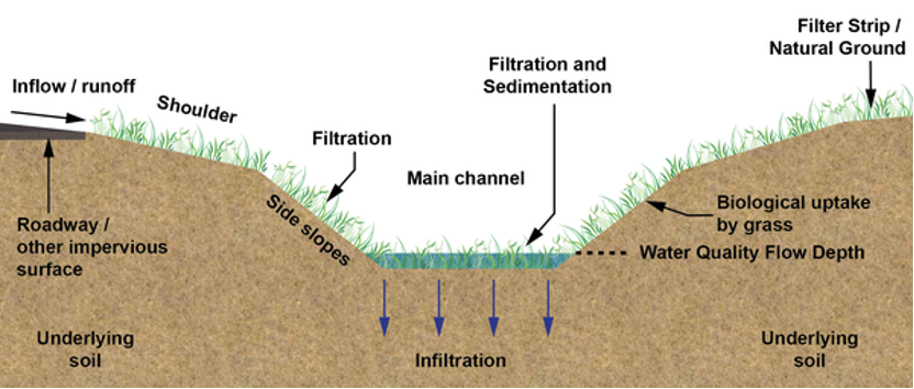 Sustainable Drainage Systems (SuDS) can help save our Swales - Organo
