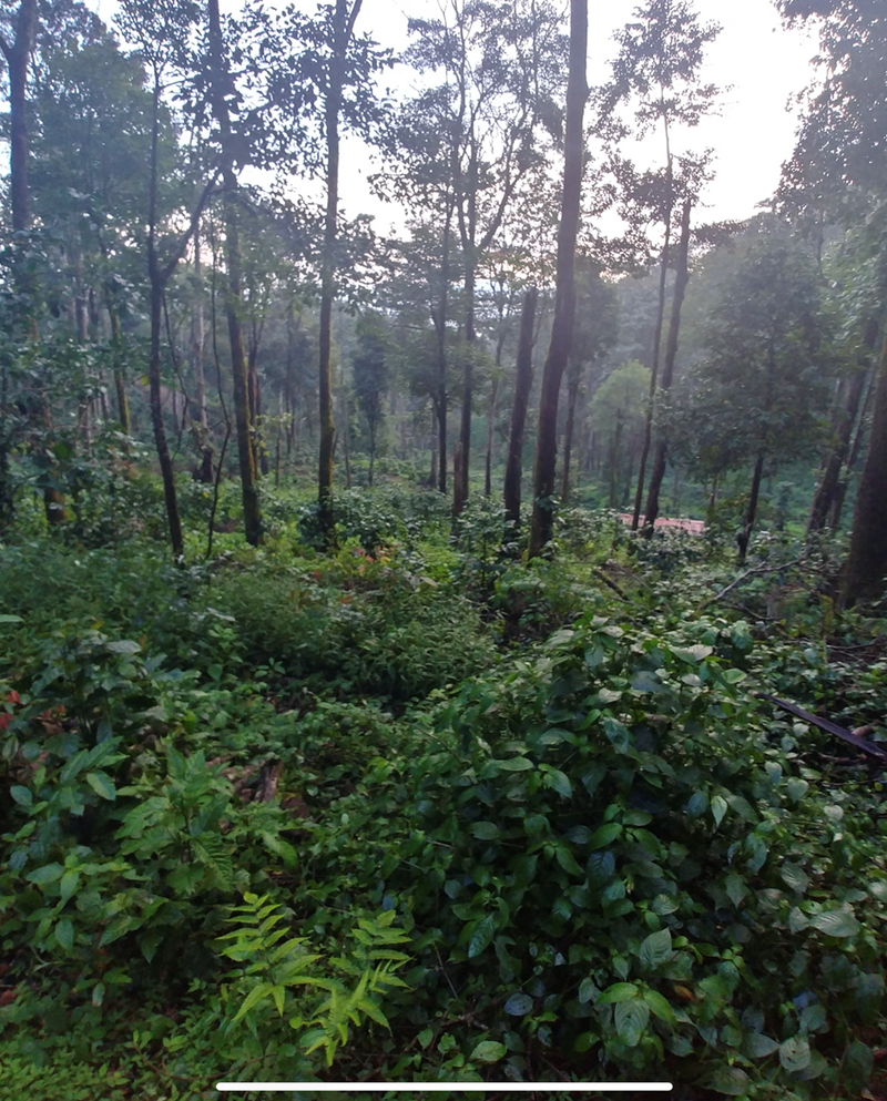 Sustainable Farming Communities | eco living communities | Gated ...