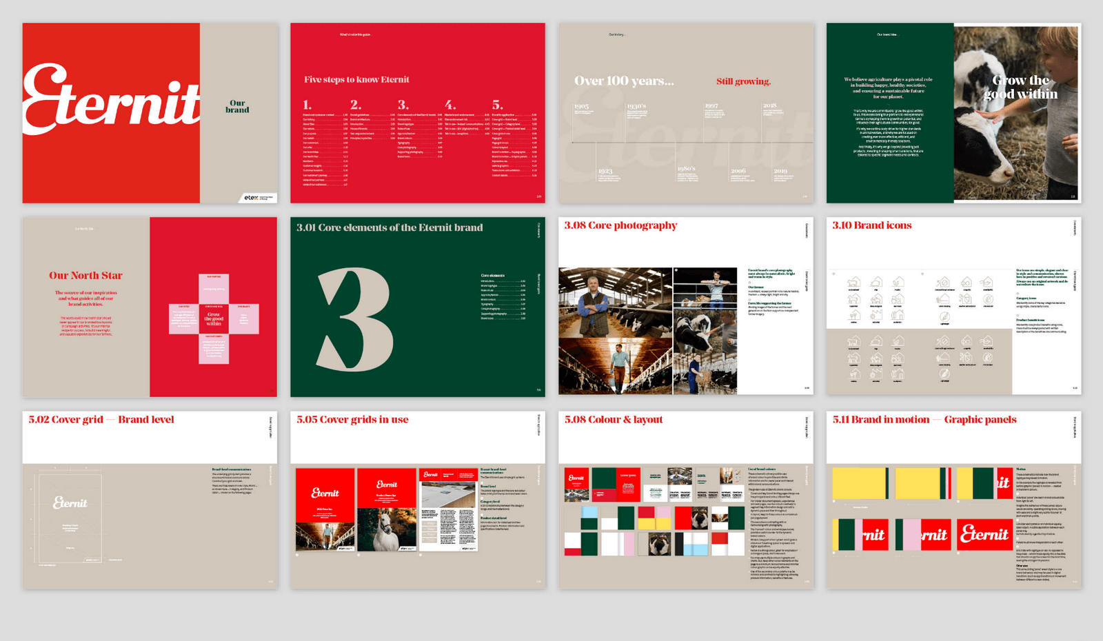 Brand strategy + identity consultant: Eternit Repositioning — Eternit’s ...